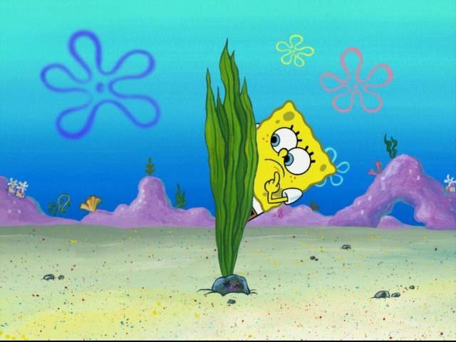 Spongebuddy Mania Spongebob Episode Hide And Then What Happens
