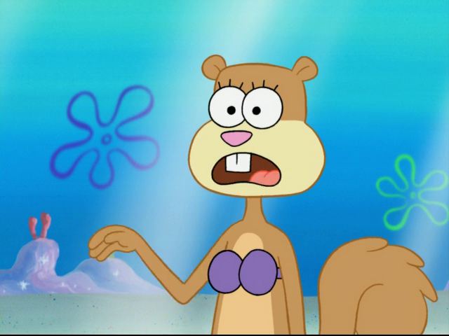 Spongebuddy Mania Spongebob Episode Hide And Then What Happens