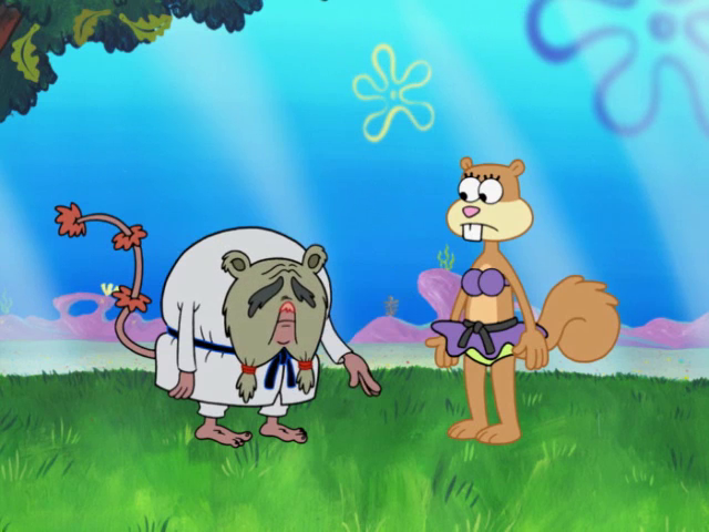 Spongebuddy Mania Spongebob Episode The Way Of The Sponge