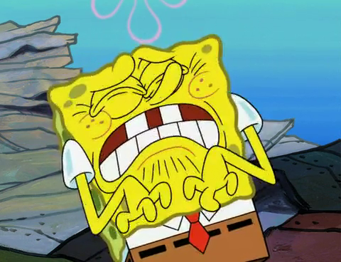 SpongeBuddy Mania - SpongeBob Episode - A Life in a Day