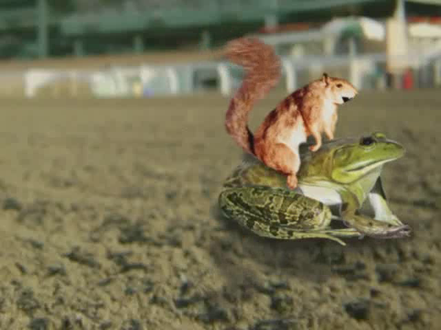 SpongeBuddy Mania - SpongeBob Episode - Rodeo Daze