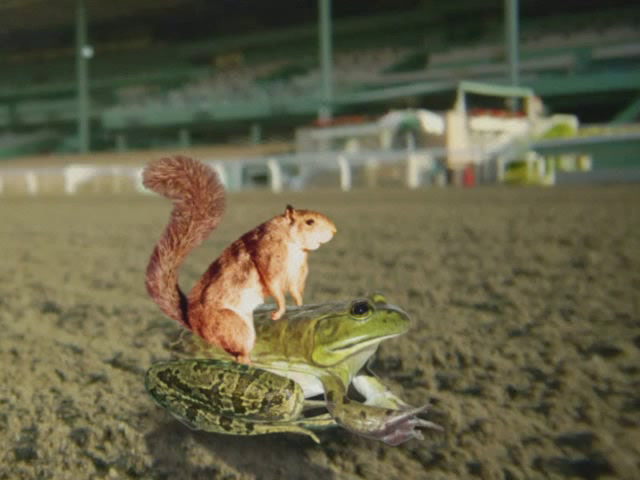 SpongeBuddy Mania - SpongeBob Episode - Rodeo Daze