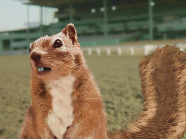 SpongeBuddy Mania - SpongeBob Episode - Rodeo Daze