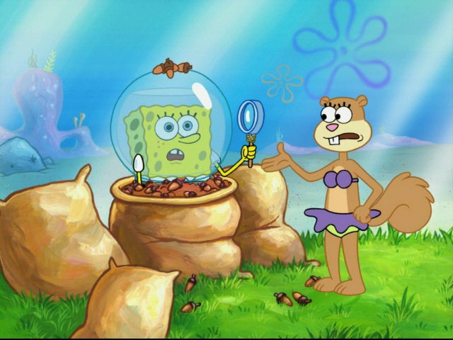 SpongeBuddy Mania - SpongeBob Episode - Hide and Then What Happens?