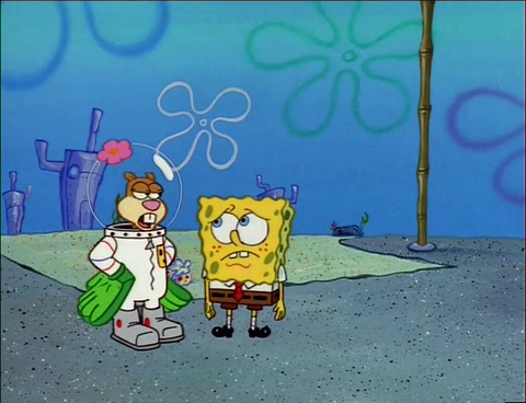 SpongeBuddy Mania - SpongeBob Episode - Karate Choppers