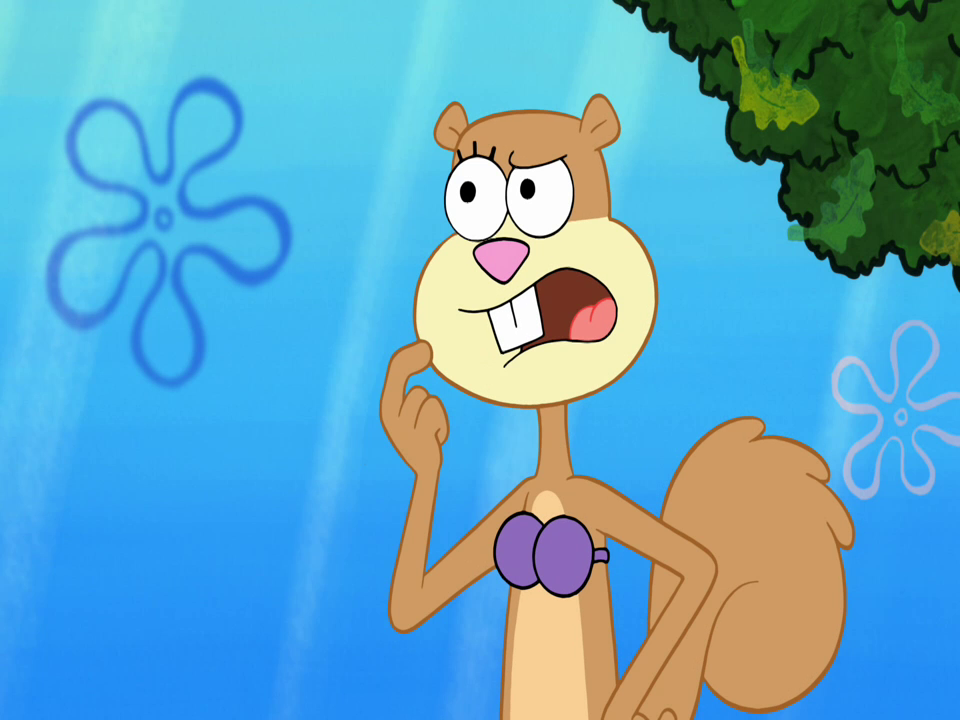 SpongeBuddy Mania - SpongeBob Episode - Squirrel Record