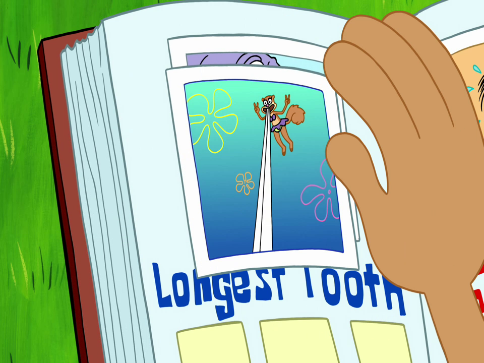 SpongeBuddy Mania - SpongeBob Episode - Squirrel Record