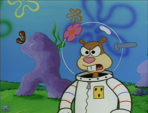 SpongeBuddy Mania - SpongeBob Episode - Texas