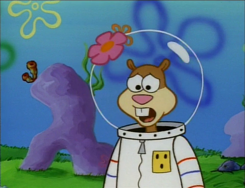 SpongeBuddy Mania - SpongeBob Episode - Texas