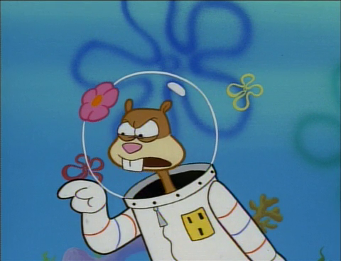 SpongeBuddy Mania - SpongeBob Episode - Texas