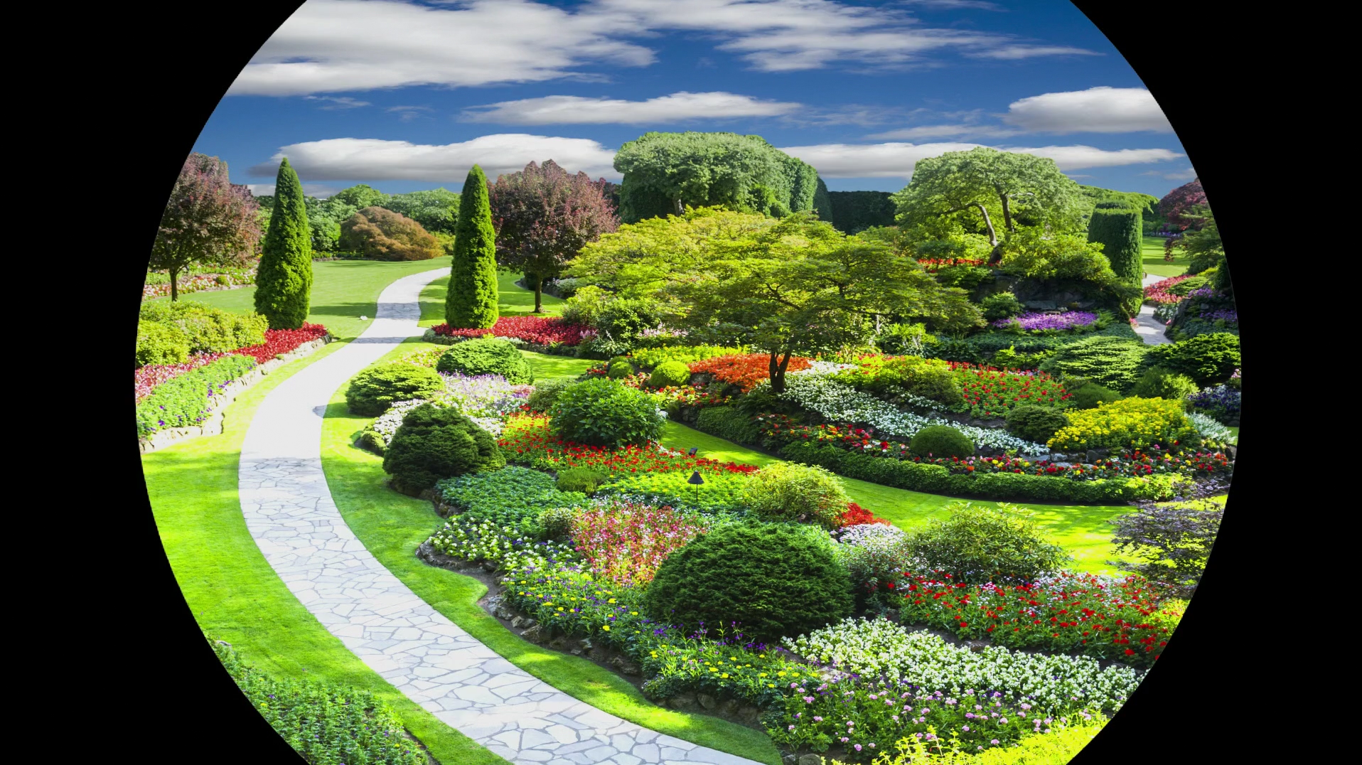 SpongeBuddy Mania - SpongeBob Episode - Sandy's Nutmare