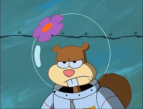 SpongeBuddy Mania - SpongeBob Episode - Squirrel Jokes