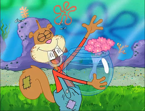 SpongeBuddy Mania - SpongeBob Episode - Squirrel Jokes