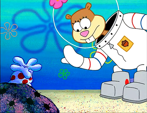 SpongeBuddy Mania - SpongeBob Episode - Sandy, SpongeBob, and the Worm