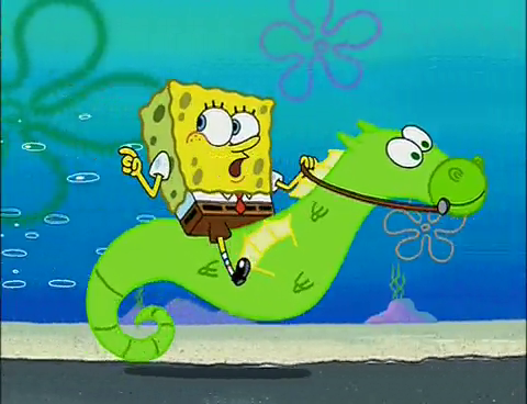SpongeBuddy Mania - SpongeBob Episode - My Pretty Seahorse