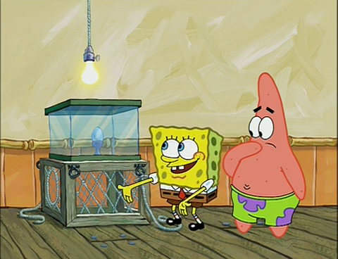 SpongeBuddy Mania - SpongeBob Episode - New Student Starfish