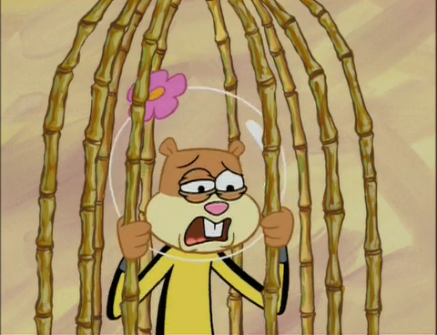 SpongeBuddy Mania - SpongeBob Episode - Karate Island