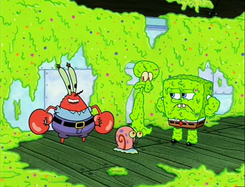 SpongeBuddy Mania - SpongeBob Episode - Fungus Among Us