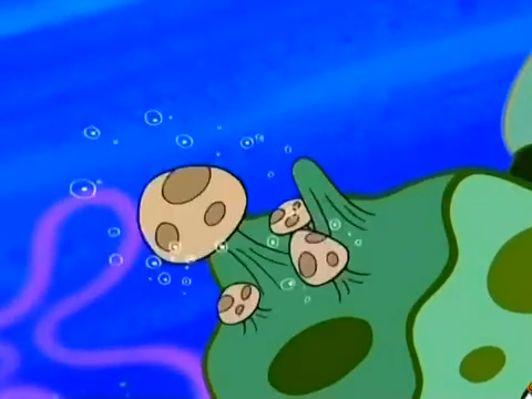 SpongeBuddy Mania - SpongeBob Episode - Moldy Sponge